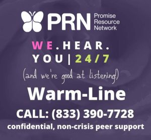 Promise Resource Network – Consult. Train. Support. Transform.
